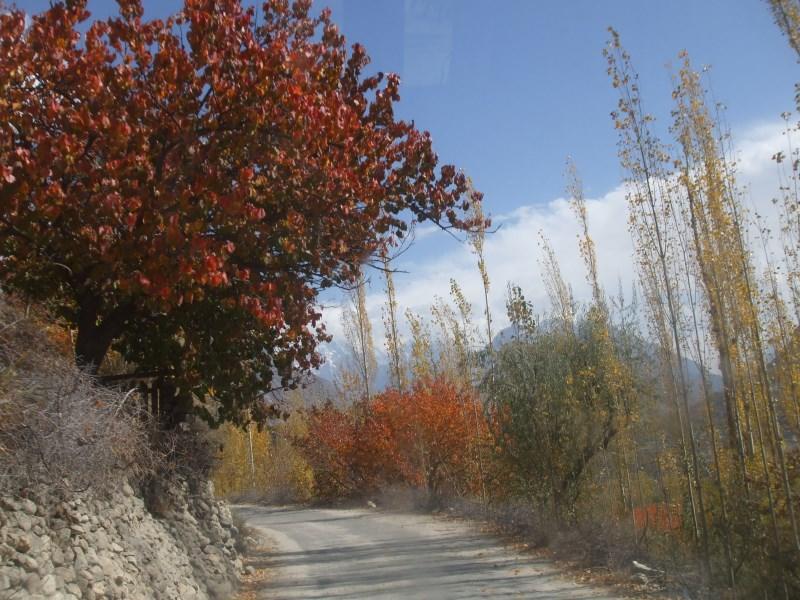 Burushaski Language | Burushaski Language Services