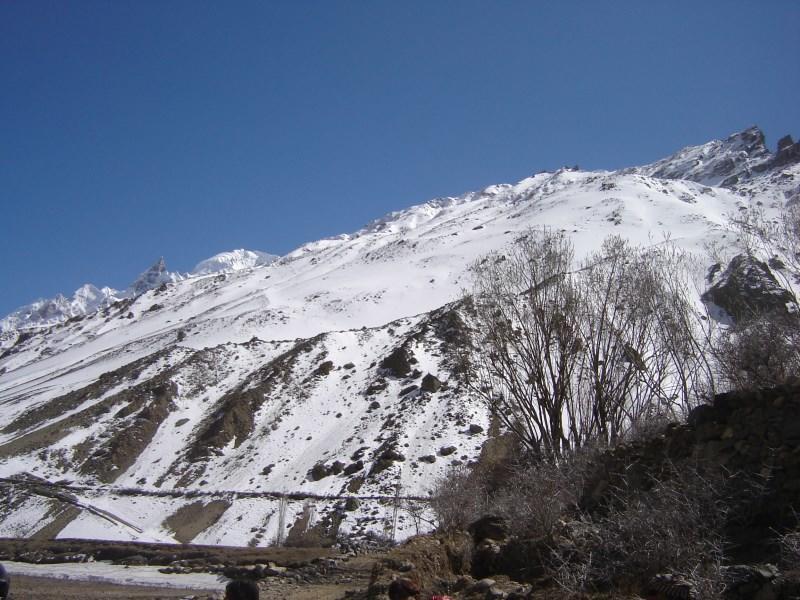 Burushaski Language Services